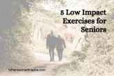 5 Low Impact Exercises for Seniors You Wish You Knew Before - When ...